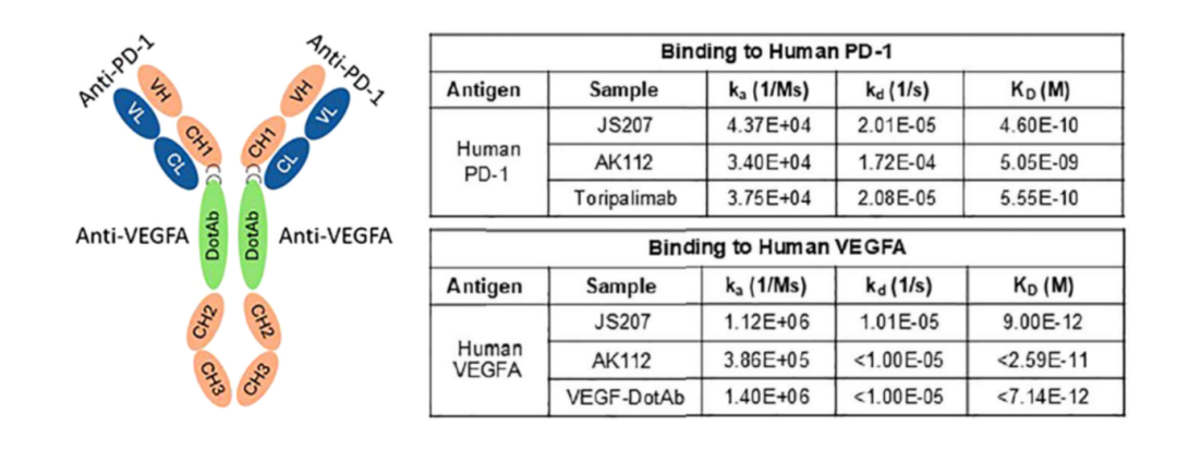 高亲和力，活性强劲！JS207（PD-1×VEGF双抗）临床前结果首次揭秘医药新闻-ByDrug-一站式医药资源共享中心-医药魔方