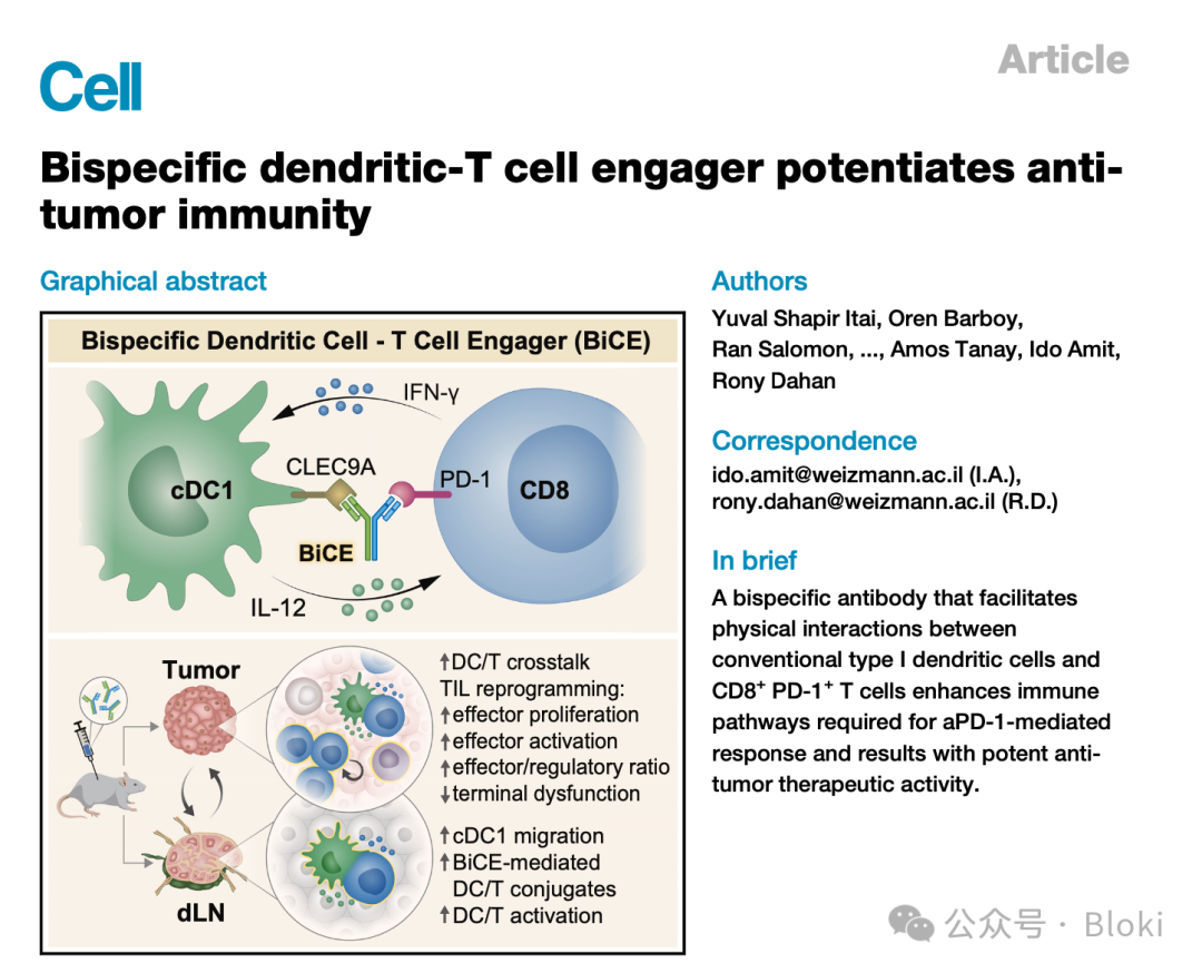把DC细胞和T细胞拉到一起的双特异性抗体医药新闻-ByDrug-一站式医药资源共享中心-医药魔方