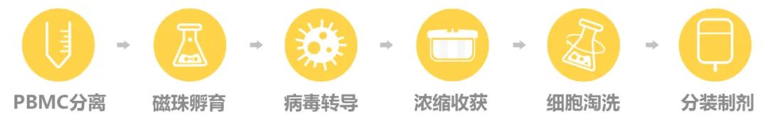 精缮生物CD20 NK细胞疗法IND获受理医药新闻-ByDrug-一站式医药资源共享中心-医药魔方