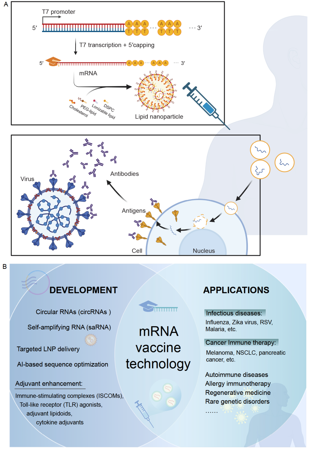Science China Life Sciences | 郝沛研究组合作综述阐述了mRNA疫苗技术的突破性进展医药新闻-ByDrug-一站式医药资源共享中心-医药魔方