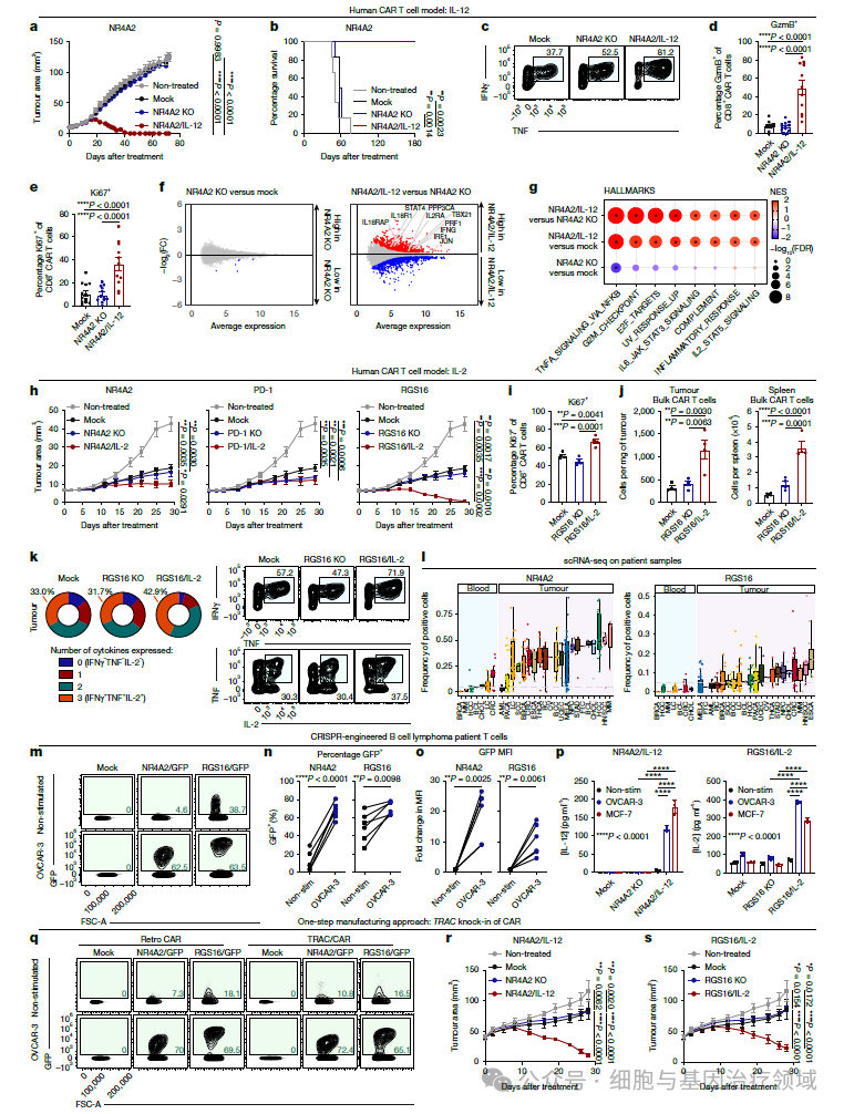 挑战实体瘤，CAR-T细胞疗法新突破医药新闻-ByDrug-一站式医药资源共享中心-医药魔方