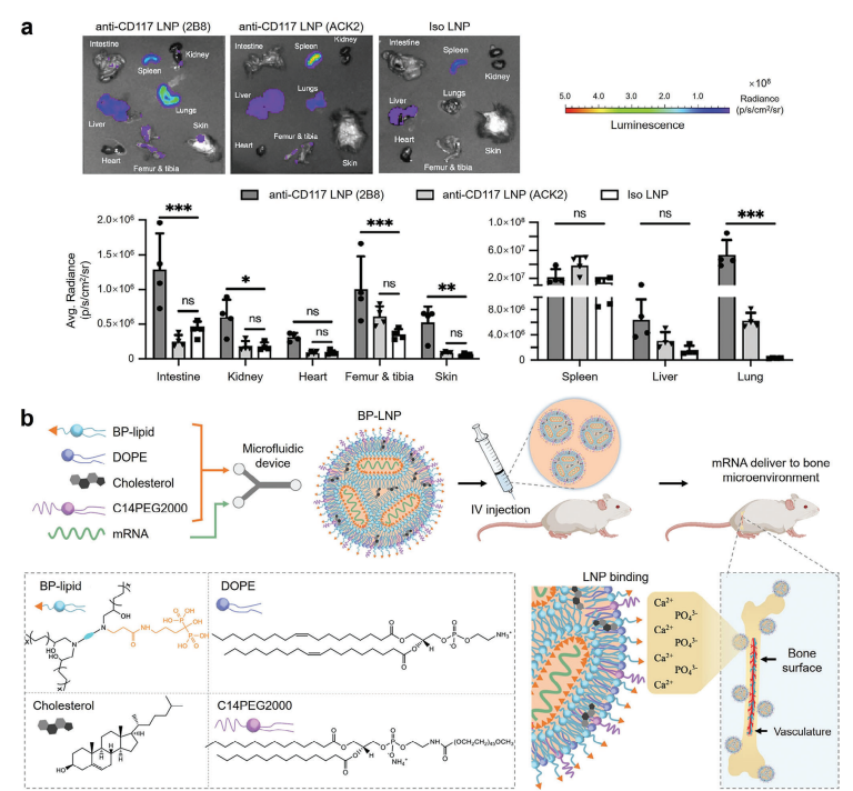 前沿进展：LNP的肝脏外器官靶向医药新闻-ByDrug-一站式医药资源共享中心-医药魔方