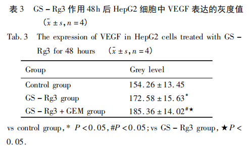 GS-Rg3联合GEM对肝癌HepG2细胞株及其VEGF的影响医药新闻-ByDrug-一站式医药资源共享中心-医药魔方