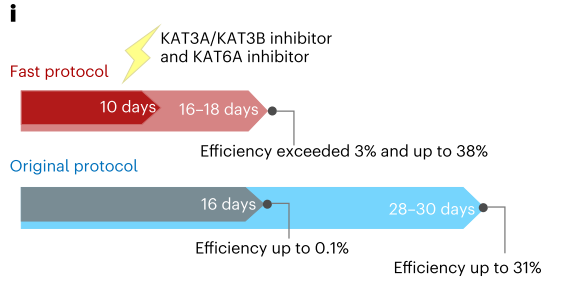 中国科学家取得重要突破，最快10天诱导生成人iPS细胞医药新闻-ByDrug-一站式医药资源共享中心-医药魔方
