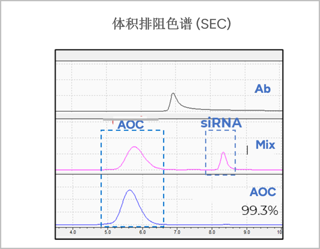 多元化偶联方案，赋能精准递送！金斯瑞siRNA/ASO偶联服务加速小核酸药开发医药新闻-ByDrug-一站式医药资源共享中心-医药魔方