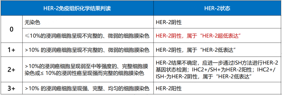 张清媛教授、张剑教授：CSCO BC指南2025版正式发布，靶向HER2诊疗共识也迎重点更新医药新闻-ByDrug-一站式医药资源共享中心-医药魔方