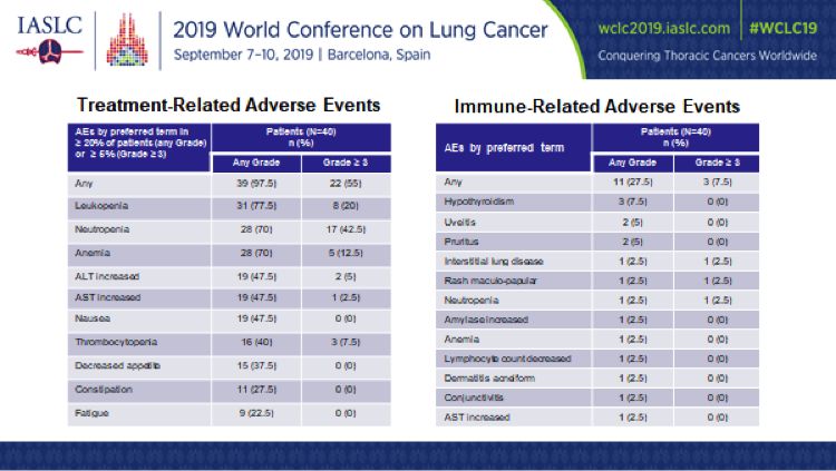 2019 WCLC中国之声| 特瑞普利单抗联合化疗有望成为EGFR TKI治疗失败的EGFR突变阳性晚期NSCLC新的标准治疗医药新闻-ByDrug-一站式医药资源共享中心-医药魔方