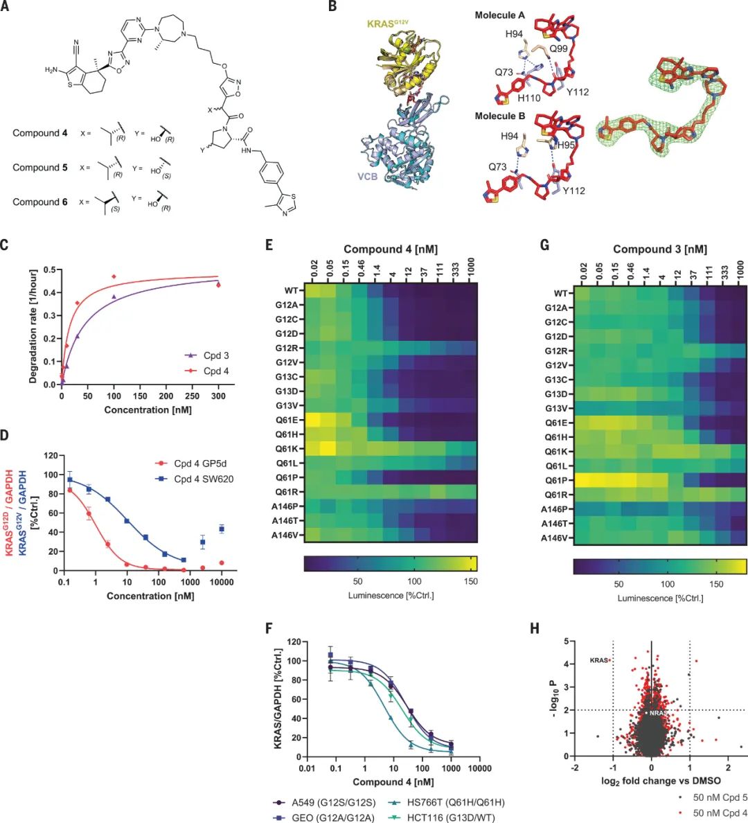 Science：一款PROTAC，降解13种KRAS突变体医药新闻-ByDrug-一站式医药资源共享中心-医药魔方