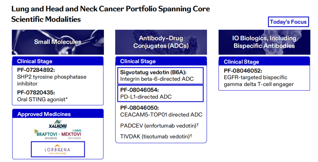 辉瑞：吞掉Seagen后，是如何消化的医药新闻-ByDrug-一站式医药资源共享中心-医药魔方