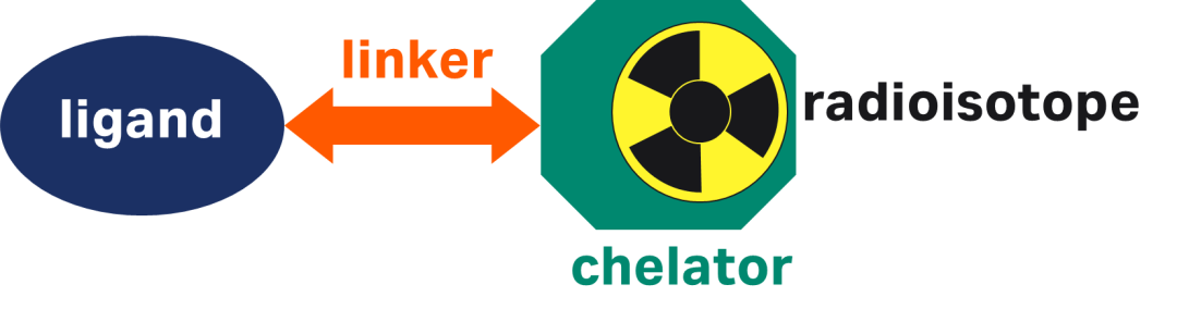核药的配体制备：高效亲和在手，纯化“核”惧之有？医药新闻-ByDrug-一站式医药资源共享中心-医药魔方
