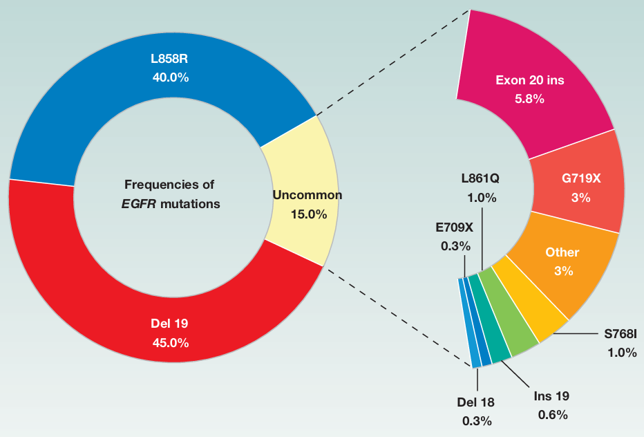EGFR新药研发：进化无止境医药新闻-ByDrug-一站式医药资源共享中心-医药魔方