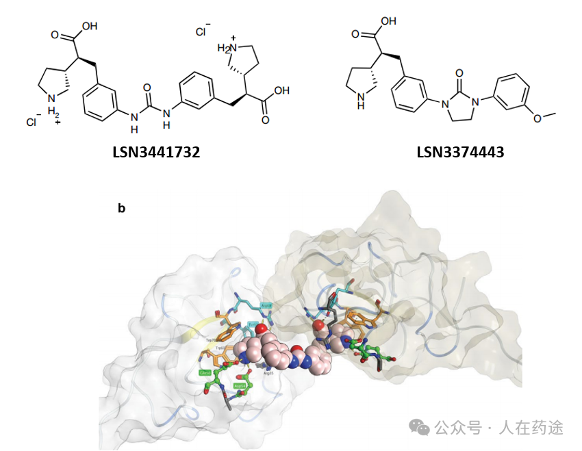 多价策略制胜！礼来全球首个Lp(a)小分子设计思路深度剖析医药新闻-ByDrug-一站式医药资源共享中心-医药魔方