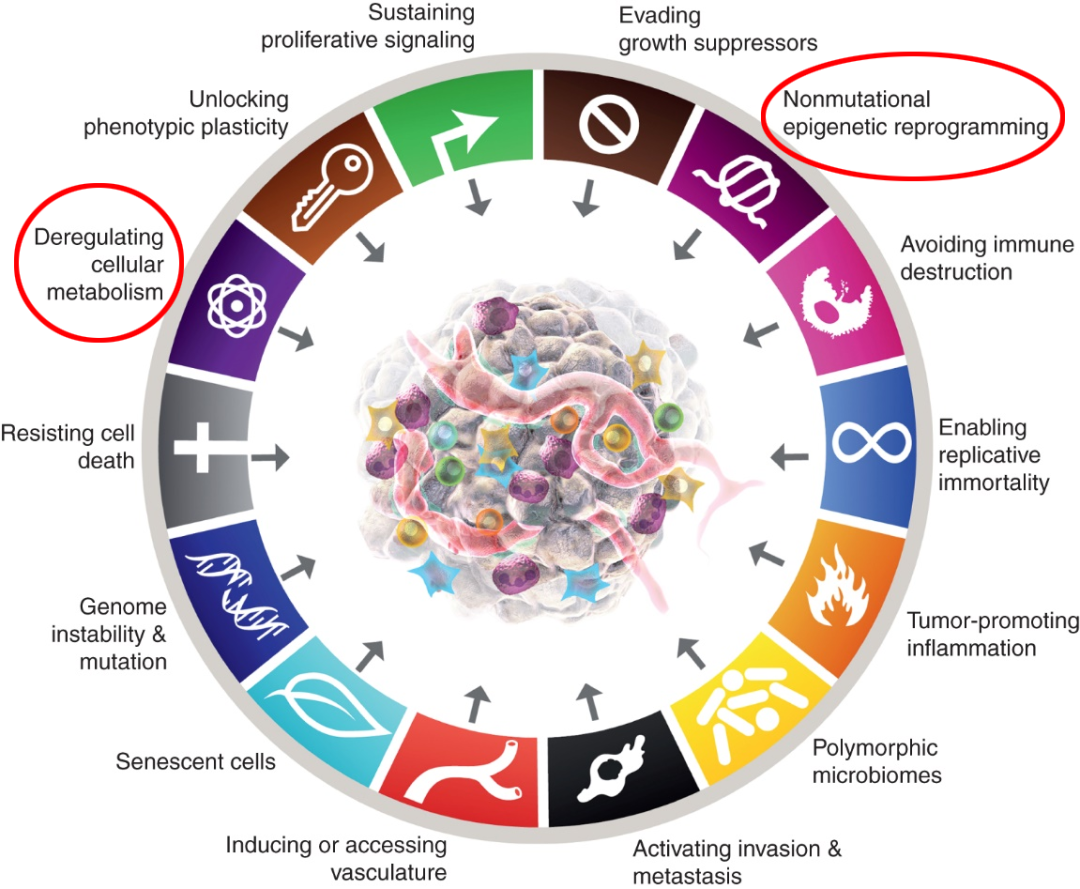 当肿瘤代谢遇见表观遗传调控——IDH突变肿瘤的靶向治疗（一)医药新闻-ByDrug-一站式医药资源共享中心-医药魔方