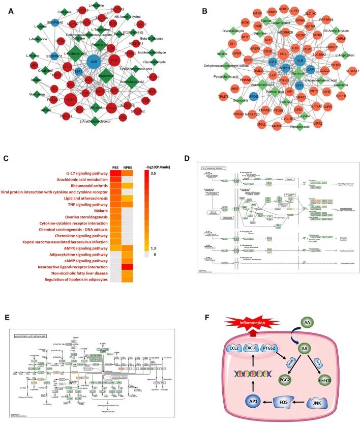 多组学时代：探索转录组、蛋白组和代谢组的联合分析医药新闻-ByDrug-一站式医药资源共享中心-医药魔方