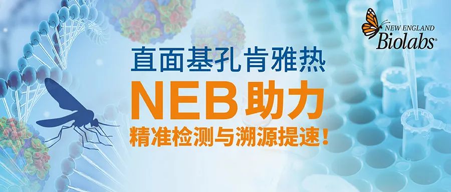 直面基孔肯雅热，NEB 助力精准检测与溯源提速医药新闻-ByDrug-一站式医药资源共享中心-医药魔方