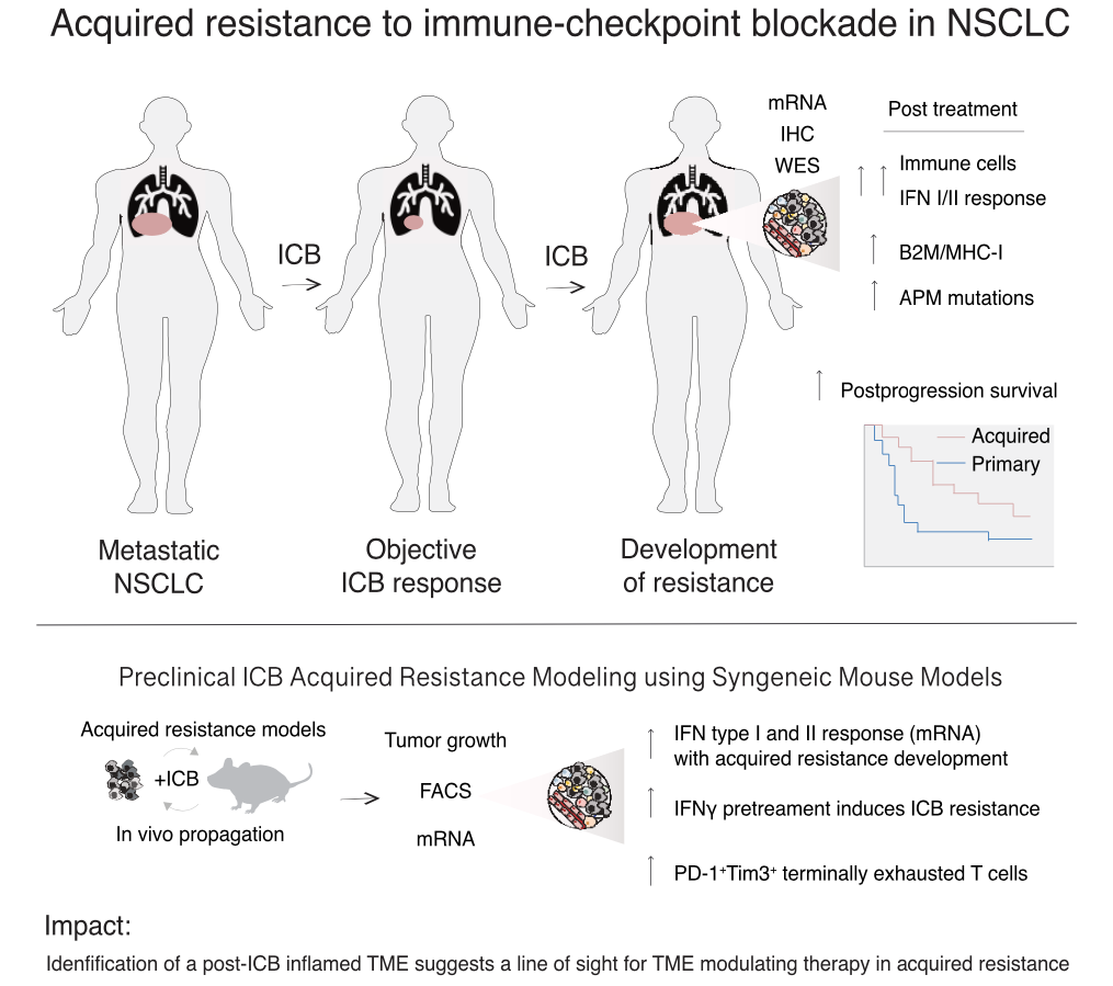 如何克服获得性免疫耐药难题？Cancer Cell最新发文为您揭秘 NSCLC免疫治疗获得性耐药的临床和分子特征医药新闻-ByDrug-一站式医药资源共享中心-医药魔方