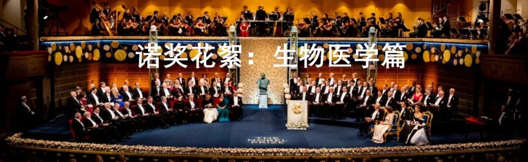 Portfolio | GSK与恩沐生物达成协议，收购CMG1A46以扩展免疫学管线医药新闻-ByDrug-一站式医药资源共享中心-医药魔方