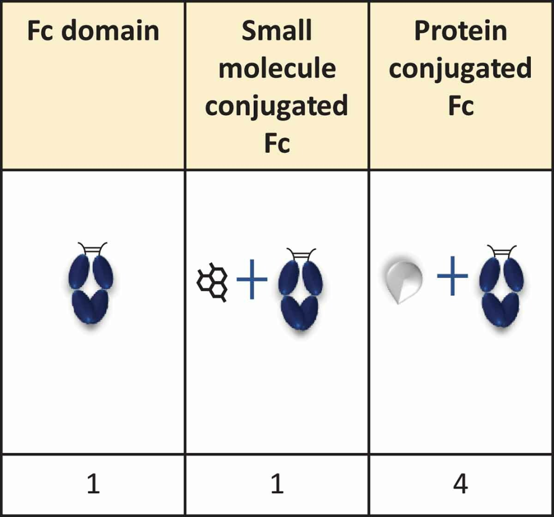 抗体三大作用机制：ADCC/ADCP/CDC医药新闻-ByDrug-一站式医药资源共享中心-医药魔方
