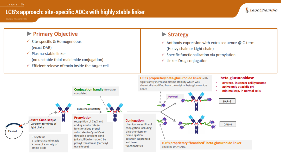 17亿美元！强生引进一款Trop2 ADC医药新闻-ByDrug-一站式医药资源共享中心-医药魔方