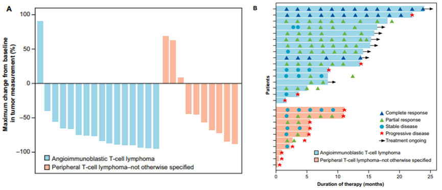 2025 EHA口头 | 恒瑞创新药EZH2抑制剂SHR2554在复发/难治性外周T细胞淋巴瘤中的关键研究结果公布医药新闻-ByDrug-一站 ...