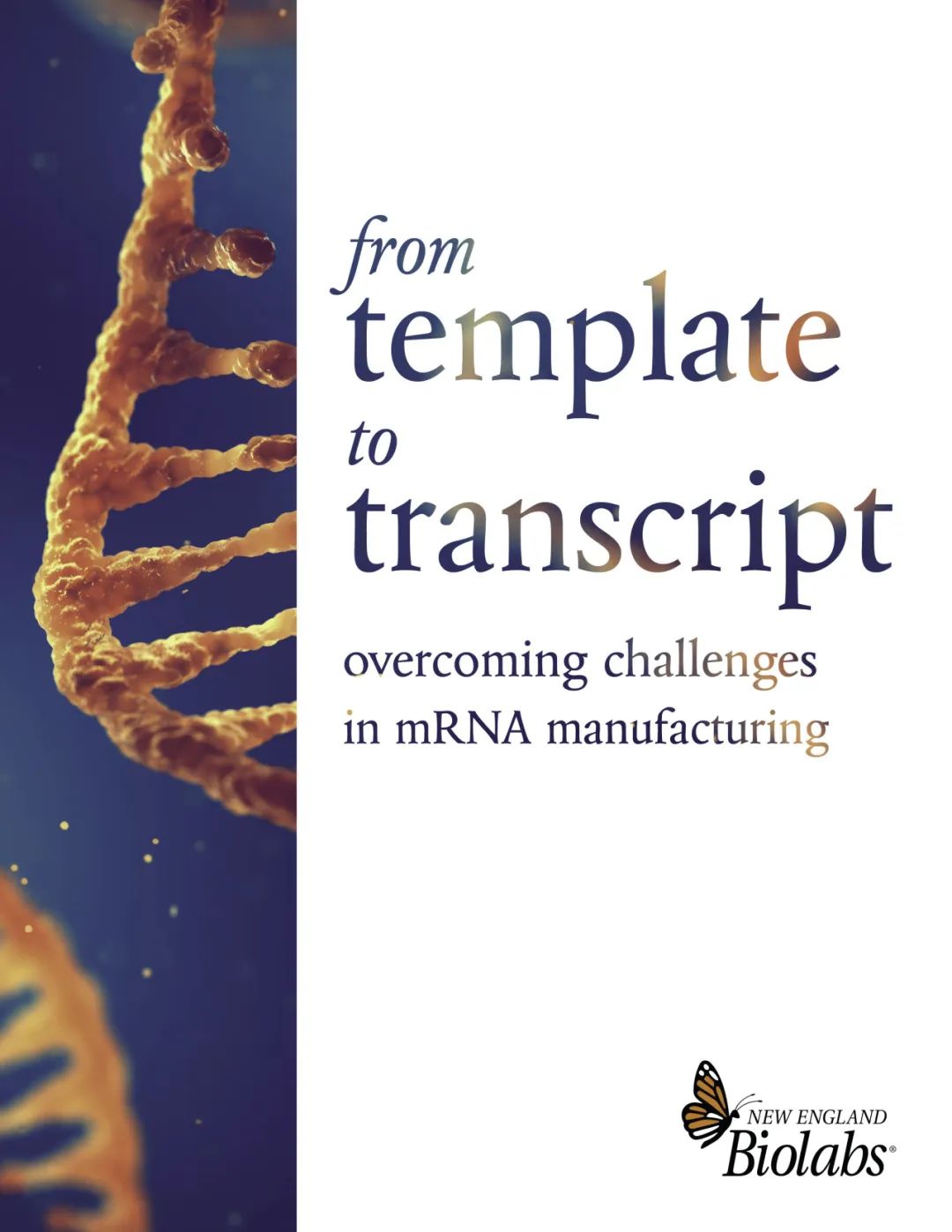NEB 创新型 RNA 加帽酶和加帽效率检测，推动 mRNA 疗法优化加速医药新闻-ByDrug-一站式医药资源共享中心-医药魔方