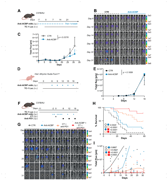 ACBP/DBI：癌症诊断的“新宠”，免疫逃逸的“破局者”医药新闻-ByDrug-一站式医药资源共享中心-医药魔方