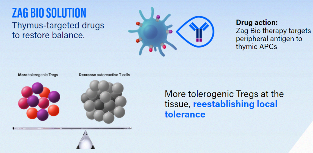 新锐！8000万美元融资，开发胸腺靶向药物治疗自身免疫性疾病医药新闻-ByDrug-一站式医药资源共享中心-医药魔方