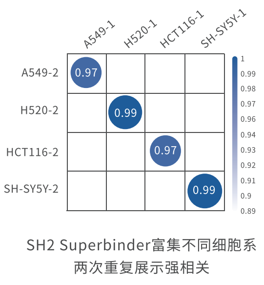 SH2 Superbinder：揭开酪氨酸磷酸化神秘面纱医药新闻-ByDrug-一站式医药资源共享中心-医药魔方