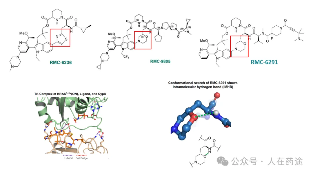 AACR24 | RMC-6236结构正式公开，那些年它的follower们医药新闻-ByDrug-一站式医药资源共享中心-医药魔方