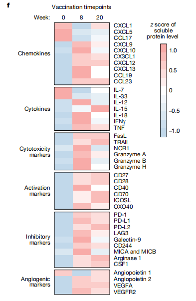 《Nature》重磅临床结果 | 个体化肿瘤多肽疫苗可长期抑制肾癌复发医药新闻-ByDrug-一站式医药资源共享中心-医药魔方