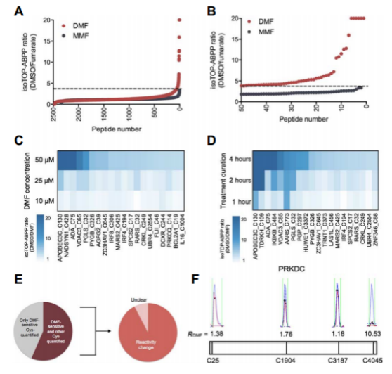 DMF重塑T细胞命运：共价筛选揭秘免疫调节新靶点医药新闻-ByDrug-一站式医药资源共享中心-医药魔方