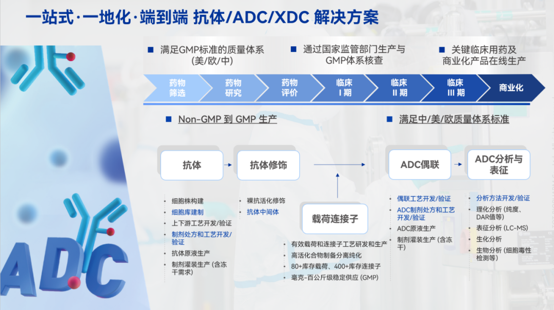 揭秘黑马CDMO，东曜药业医药新闻-ByDrug-一站式医药资源共享中心-医药魔方