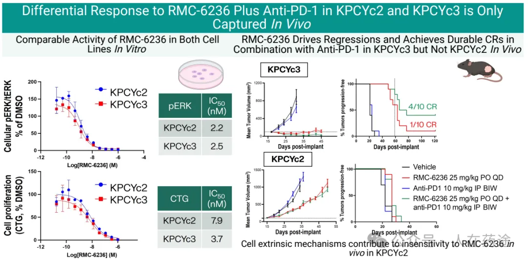 KRAS G12D（ON）抑制剂RMC-9805结构与临床前数据公开医药新闻-ByDrug-一站式医药资源共享中心-医药魔方