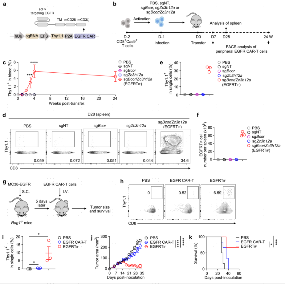 项目文章 | 单细胞测序助力诱导全新类永生化功能性T细胞医药新闻-ByDrug-一站式医药资源共享中心-医药魔方