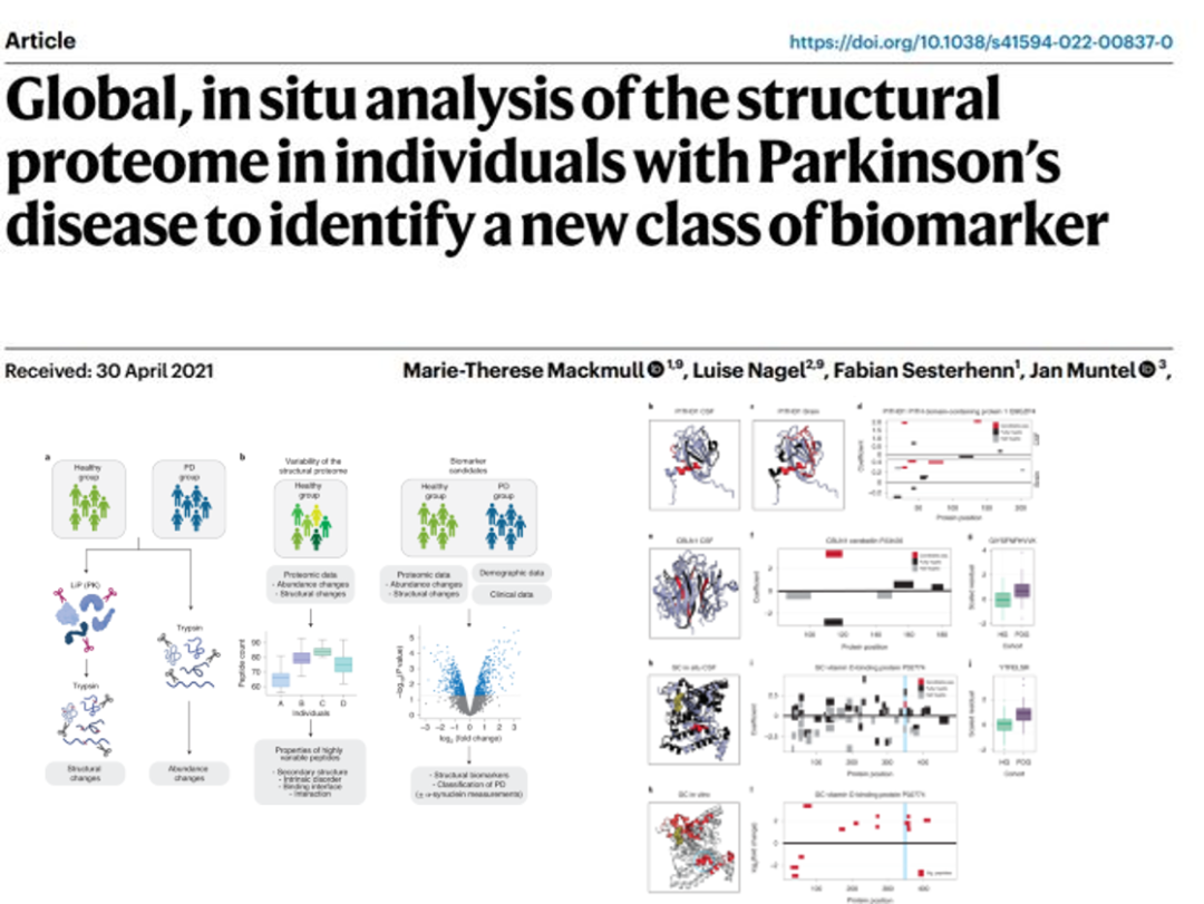 突破结构生物学瓶颈！LIP-MS技术揭秘小分子-蛋白互作新机制医药新闻-ByDrug-一站式医药资源共享中心-医药魔方