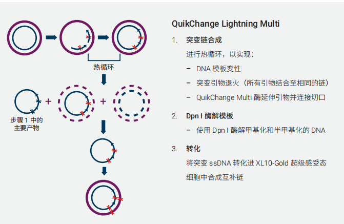 定点突变选对 kit，实验效率翻倍——安捷伦 QuikChange Lightning 系列医药新闻-ByDrug-一站式医药资源共享中心-医药魔方