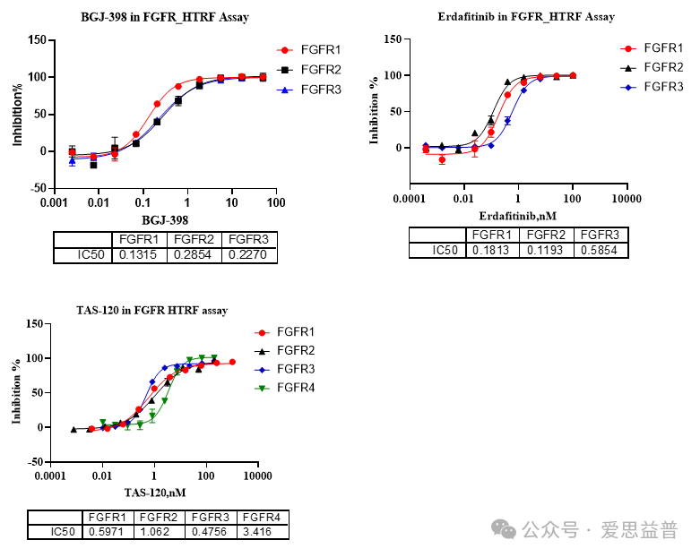 ICE靶标蛋白| FGFR系列蛋白产品医药新闻-ByDrug-一站式医药资源共享中心-医药魔方