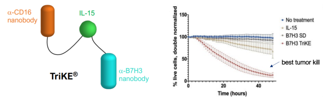 被刷屏的B7-H3，有哪些靶向疗法？医药新闻-ByDrug-一站式医药资源共享中心-医药魔方