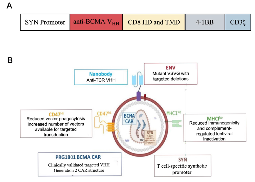 重大进展！EsoBiotec/普瑞金：《柳叶刀》披露体内BCMA CAR T细胞治疗多发性骨髓瘤的临床结果医药新闻-ByDrug-一站式医药 ...