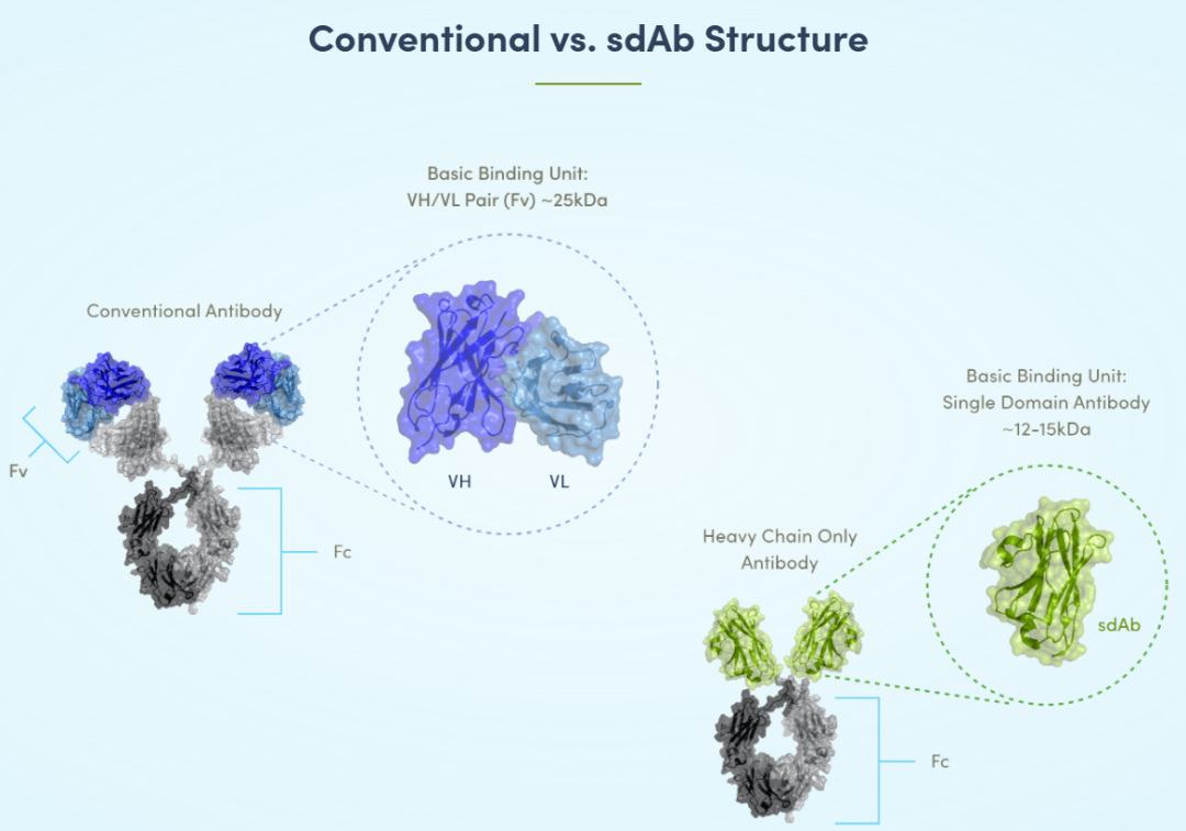 22亿美元！赛诺菲收购Inhibrx核心资产INBRX-101医药新闻-ByDrug-一站式医药资源共享中心-医药魔方
