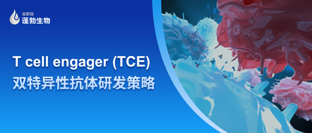 T cell engager（TCE）双特异性抗体研发策略医药新闻-ByDrug-一站式医药资源共享中心-医药魔方