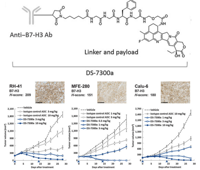 被刷屏的B7-H3，有哪些靶向疗法？医药新闻-ByDrug-一站式医药资源共享中心-医药魔方