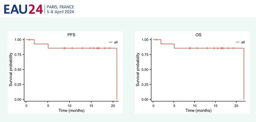EAU24中国之声|吕强教授团队：替雷利珠单抗联合化疗新辅助治疗临床淋巴结阳性（cN+） 膀胱癌最新疗效数据公布医药新闻-ByDrug-一站式医药资源共享中心-医药魔方