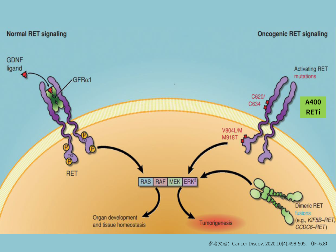 科伦博泰新一代选择性RET抑制剂获FDA快速通道资格医药新闻-ByDrug-一站式医药资源共享中心-医药魔方