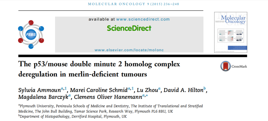 【科学报告】在Merlin蛋白缺失的肿瘤中p53/MDM2复合体的异常调控医药新闻-ByDrug-一站式医药资源共享中心-医药魔方
