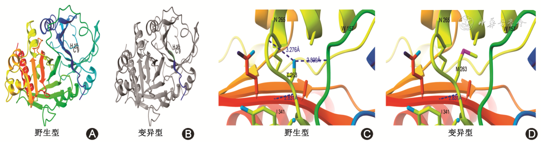【临床研究】HPDL双等位基因致神经发育障碍伴进行性痉挛和脑白质异常的临床特点与基因分析医药新闻-ByDrug-一站式医药资源共享中心-医药魔方