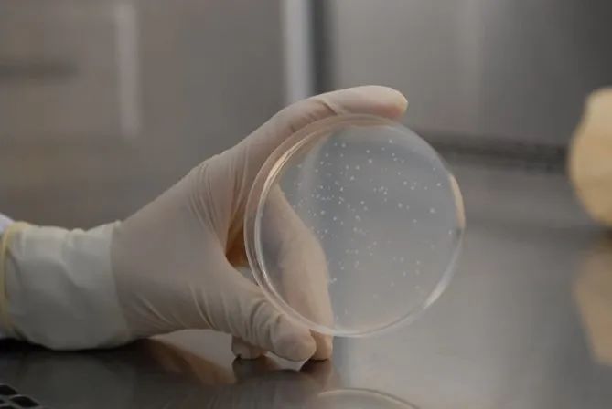 IPHASE/汇智和源 多领域遗传毒理Ames试验试剂盒全新升级医药新闻-ByDrug-一站式医药资源共享中心-医药魔方