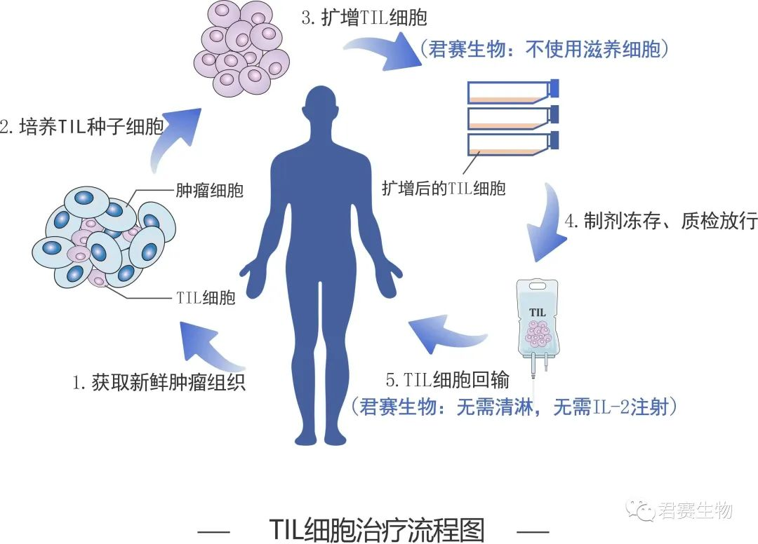 无需IL-2注射，创新TIL疗法的临床结果首发国际权威杂志医药新闻-ByDrug-一站式医药资源共享中心-医药魔方