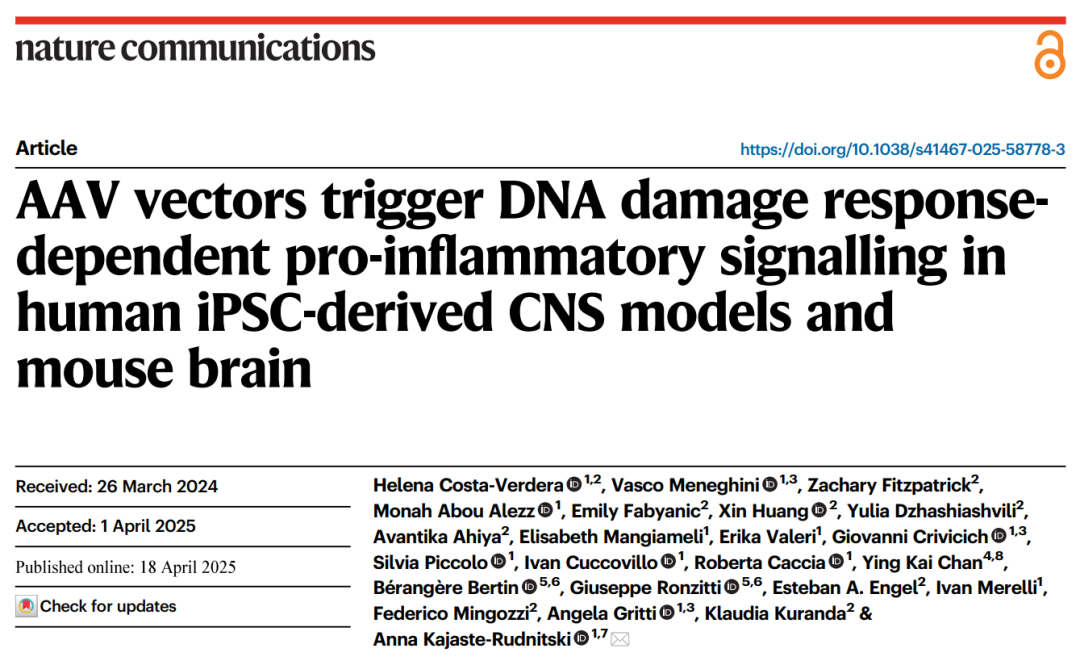 Nat Commun | AAV基因治疗在CNS中引发的剂量依赖性不良事件与DNA损伤反应依赖性促炎信号传导有关医药新闻-ByDrug-一站式医药资源共享中心-医药魔方