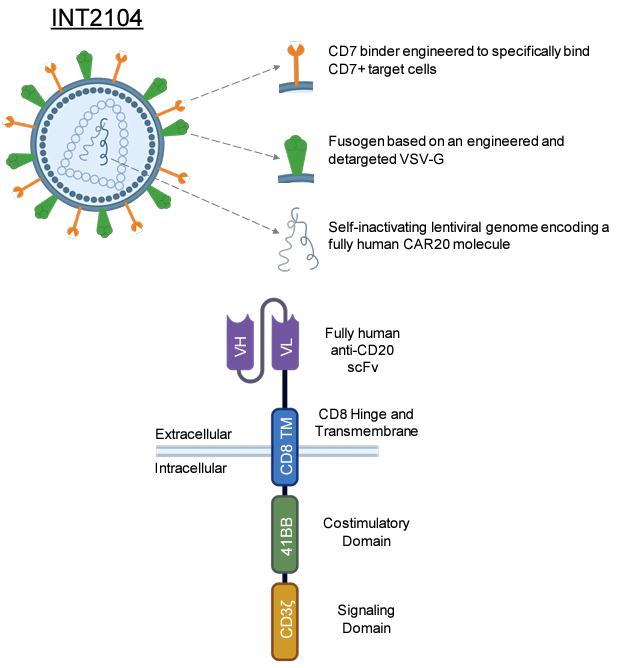 首个进入临床试验的体内制造CAR-T！医药新闻-ByDrug-一站式医药资源共享中心-医药魔方